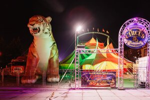 Sirkler Circus Dynasty Dovgalyuk, Yeysk, foto