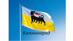Eni (Kaliningrad, Leningradskiy rayon, Neue Sorge Historic District), yağlama ürünleri  Kaliningrad'dan