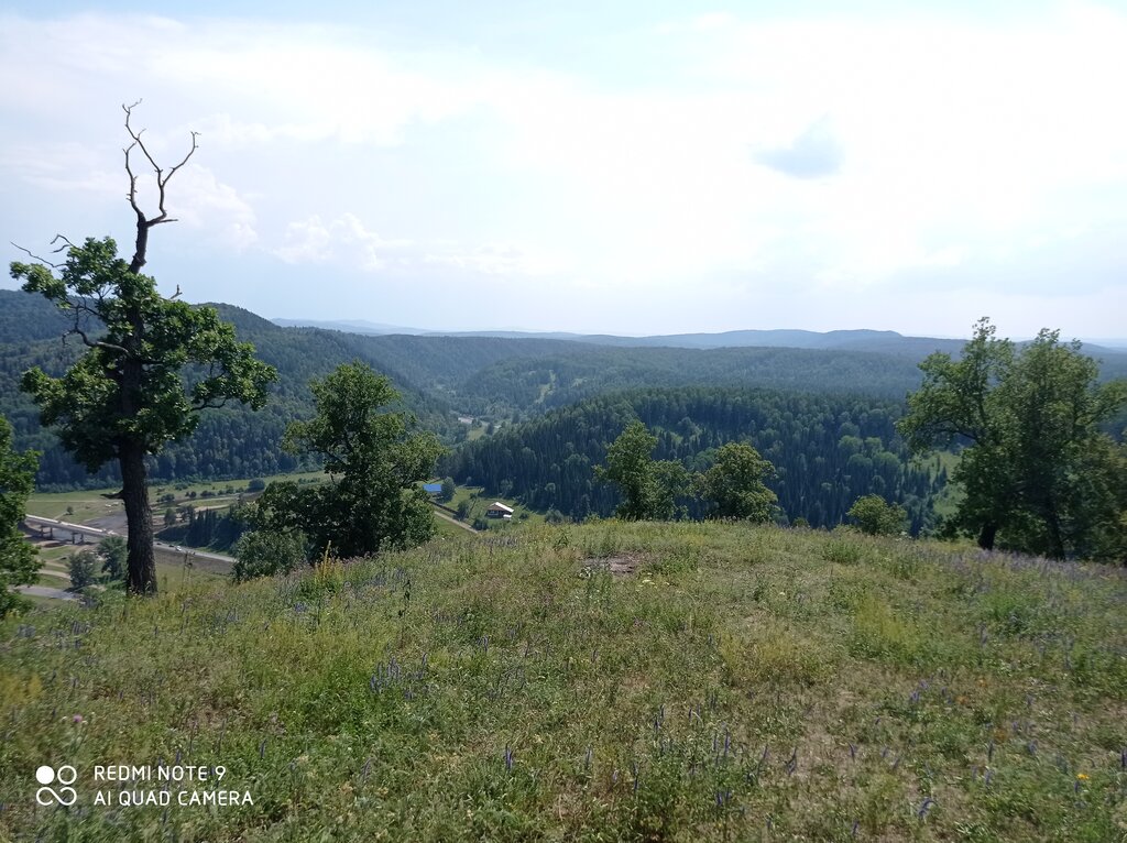 Dağ zirvesi Гора Аплязе 426 метров, Başkurdistan, foto