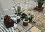Donna Piera - Dimore di Charme (Chiasso Perugini No:14, Monopoli), otel  Puglia'dan