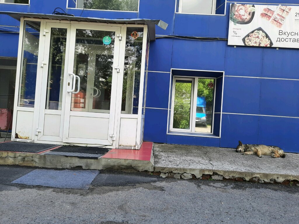 Hazır yemek teslim servisleri 9вкусов.рф, Krasnoyarsk, foto