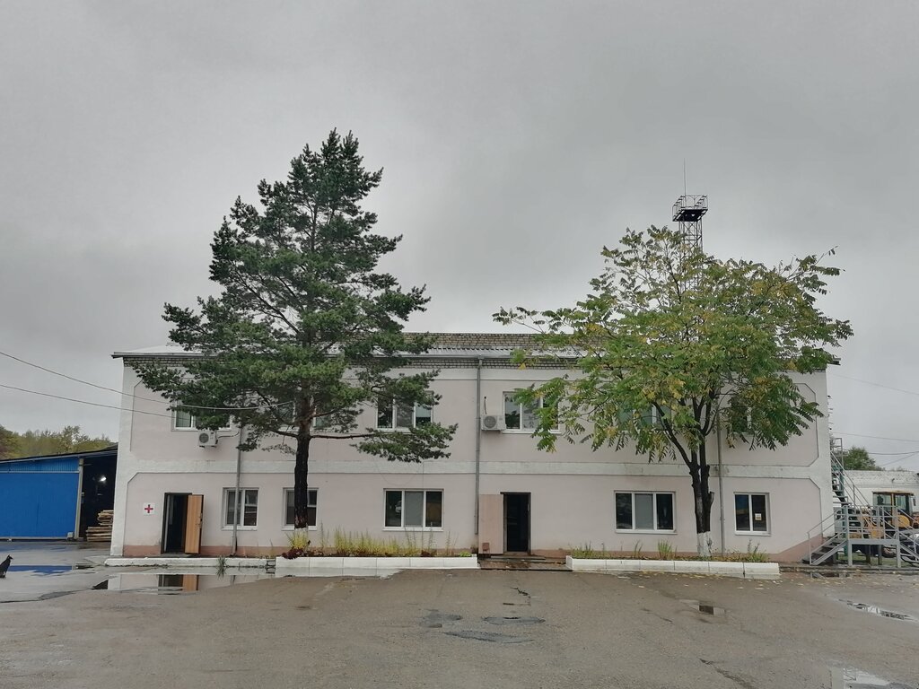 Kerestecilik, ağaç satışı АО Чугуевская лесоперерабатывающая компания, Primoriye, foto