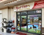 Royal Pets Toelettatura (Lazio, Roma, Pomezia, Ardea, Via Modena), petshop  Lazio'dan