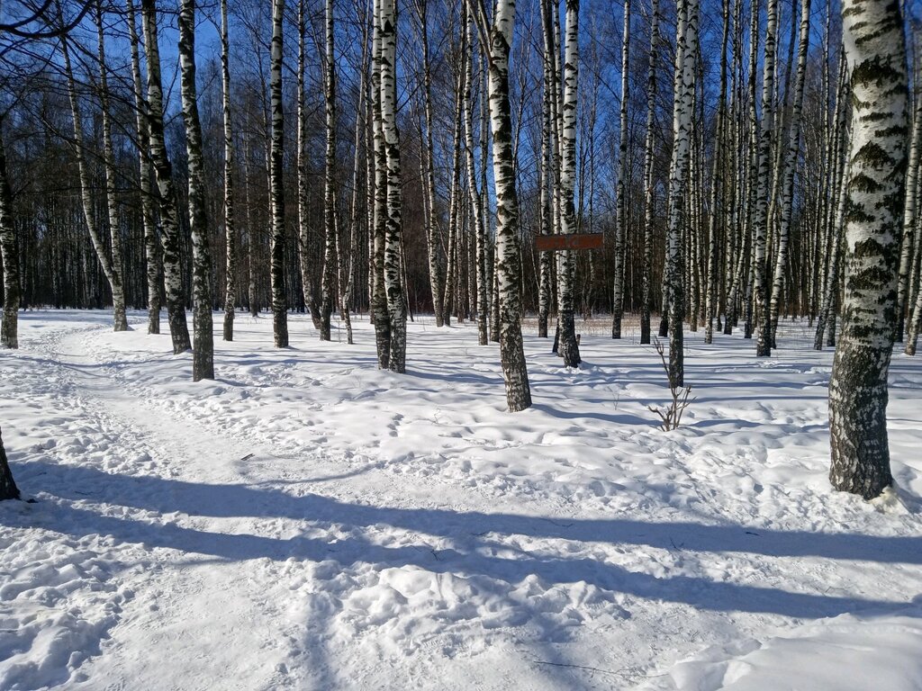 Kültür ve eğlence parkları парк Ветеранов Отечественной войны, Yaroslavl, foto