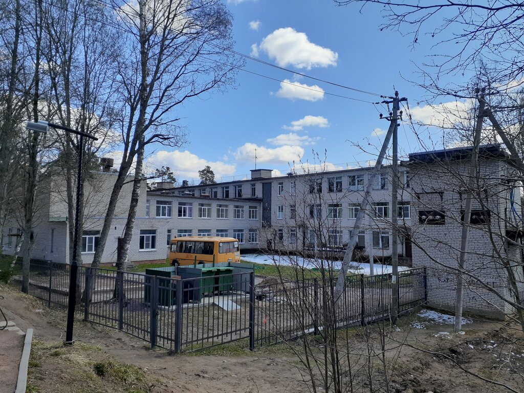 Ortaokul Мичуринская средняя общеобразовательная школа, Saint‑Petersburg ve Leningradskaya oblastı, foto