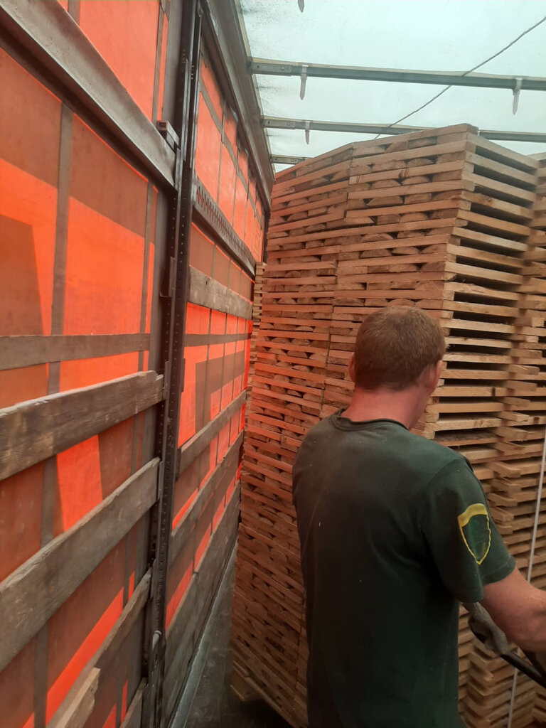 Ahşap endüstrisi GorPererabotka, Tverskaya oblastı, foto