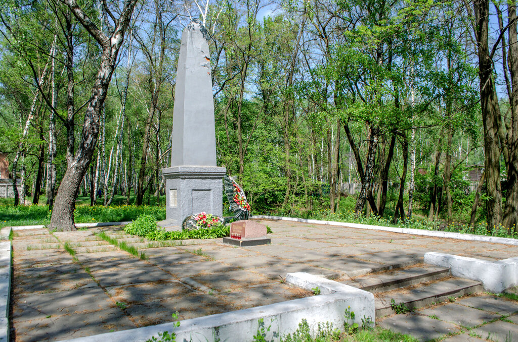Kültür ve eğlence parkları парк Берёзовая Роща, Chernigov, foto