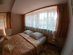 Sosny (Aptechnaya ulitsa No:4), otel  Svetlogorsk'tan