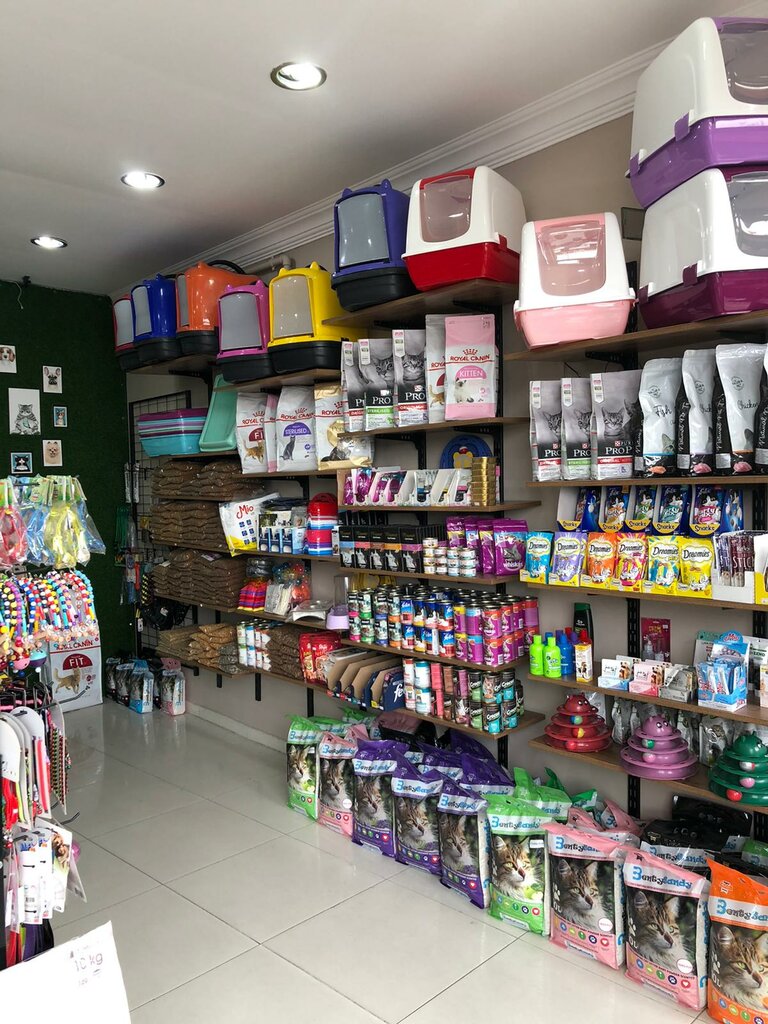Petshop Zeyna Petshop, İstanbul, foto