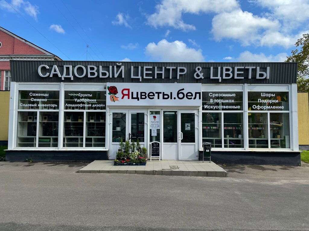 Çiçekçiler YACvety. bel, Minsk, foto