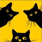 Black cats (Vesennyaya ulitsa No:19А), petshop  Çehov'dan