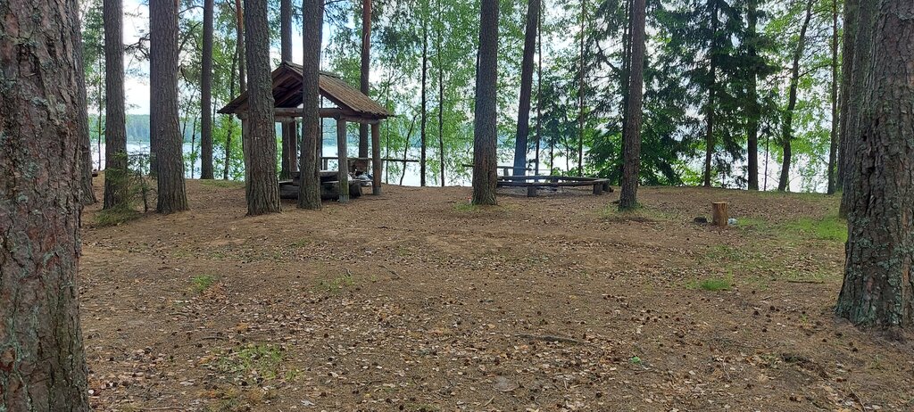 Plaj Пляж, Smolenskaya oblastı, foto