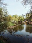 Solnechnaya Polyana Public Garden (Novo-Sadovaya Street No:236), meydan  Samara'dan