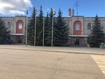 Usadsky Spirtzavod filial Tatspirtprom (Republic of Tatarstan, Vysokogorskiy rayon, Usadskoye selskoye poseleniye, derevnya Timofeyevka, Profsoyuznaya ulitsa), gıda üreticileri  Tataristan'dan