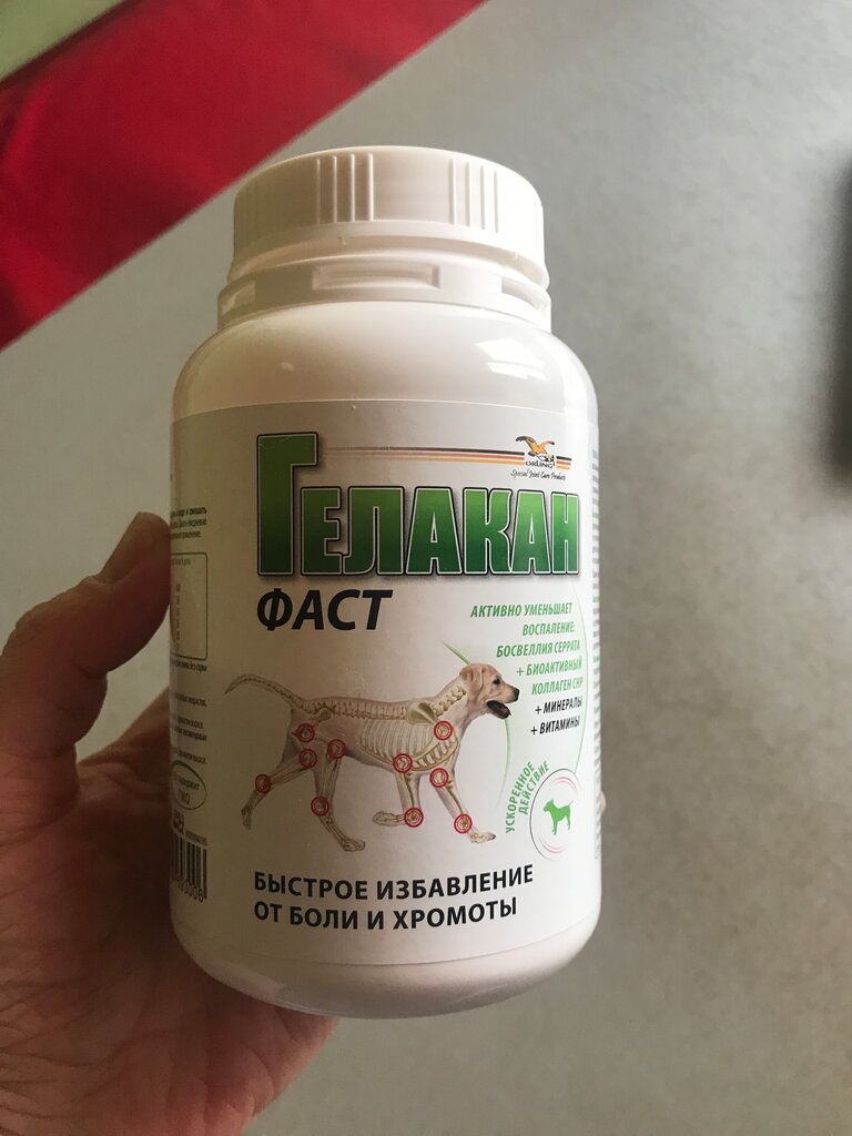 Petshop ZooSmart, Saint‑Petersburg, foto