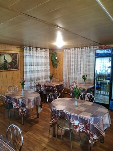Shashlik 509 (Viciebskaja voblasc, Talachynski sielsaviet), kafe  Vitebskaya oblastından
