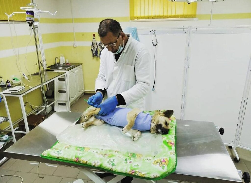 Veteriner eczaneleri Vita-G, Harabali, foto