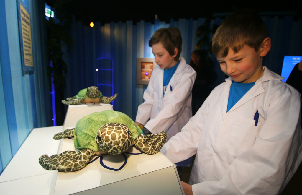 Turistik yerler Sea Life Konstanz, Baden‑Wurttemberg, foto