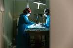 Clinica Veterinaria 3 Archi (Marche, Ancona, Osimo, Via Don Luigi Sturzo), veteriner klinikleri  Marche'den