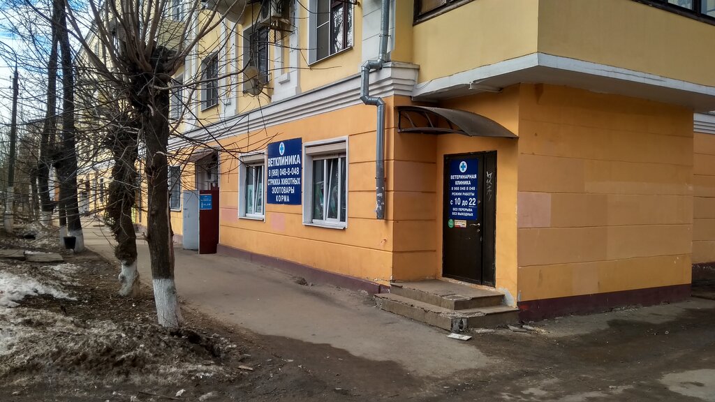 Veteriner klinikleri Veterinarnaya klinika Drug, Podolsk, foto