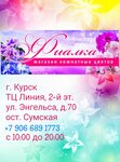 Fialka (Engelsa Street No:70), çiçekçiler  Kursk'tan