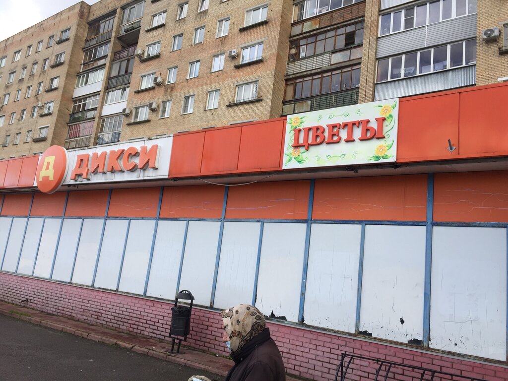 Çiçekçiler Гербера, İvanteyevka, foto