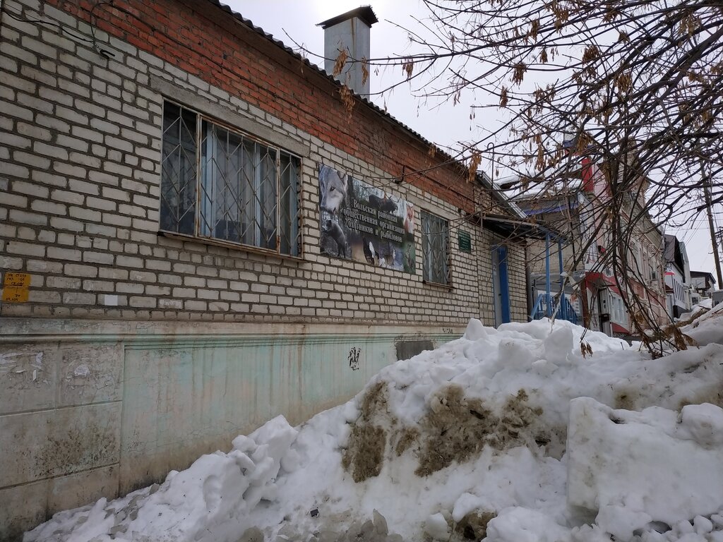 Sivil toplum kuruluşları Вольское районное общество охотников и рыболовов, Volsk, foto