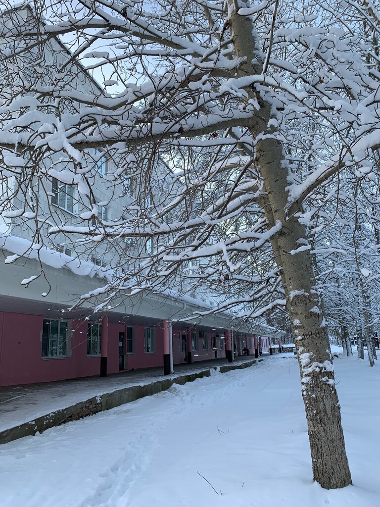 Tıbbi birim Gorodskaya poliklinika, Polyarnie Zori, foto