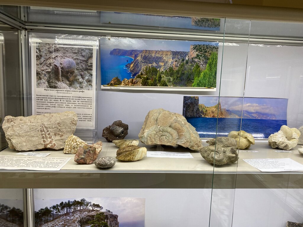 Müzeler ve sanat galerileri Мезозой, Sevastopol, foto