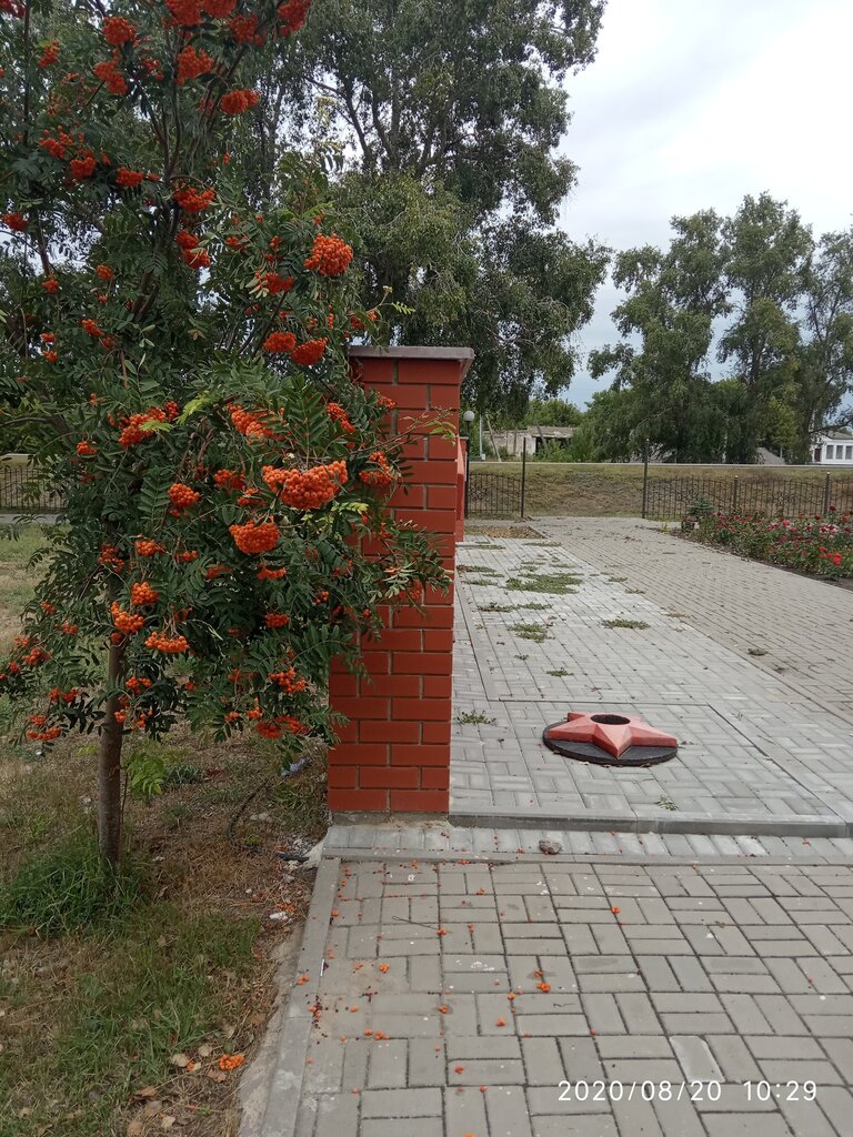 Anıt, heykel Мемориал Великой Отечественной войны 1941-1945 гг., Voronejskaya oblastı, foto