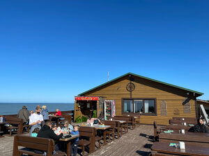 Vinland (Kaliningrad Region, Zelenogradskiy munitsipalny okrug, Curonian Spit), kafe  Kaliningradskaya oblastından