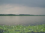 Збурьевский Кут (Holoprystanskyi raion), resort oteller, tesisler  Kerson Bölgesi'nden