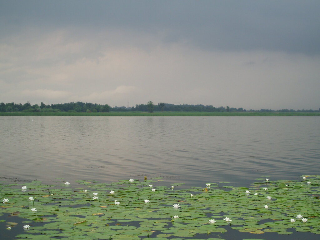 Resort oteller, tesisler Збурьевский Кут, Kerson Bölgesi, foto