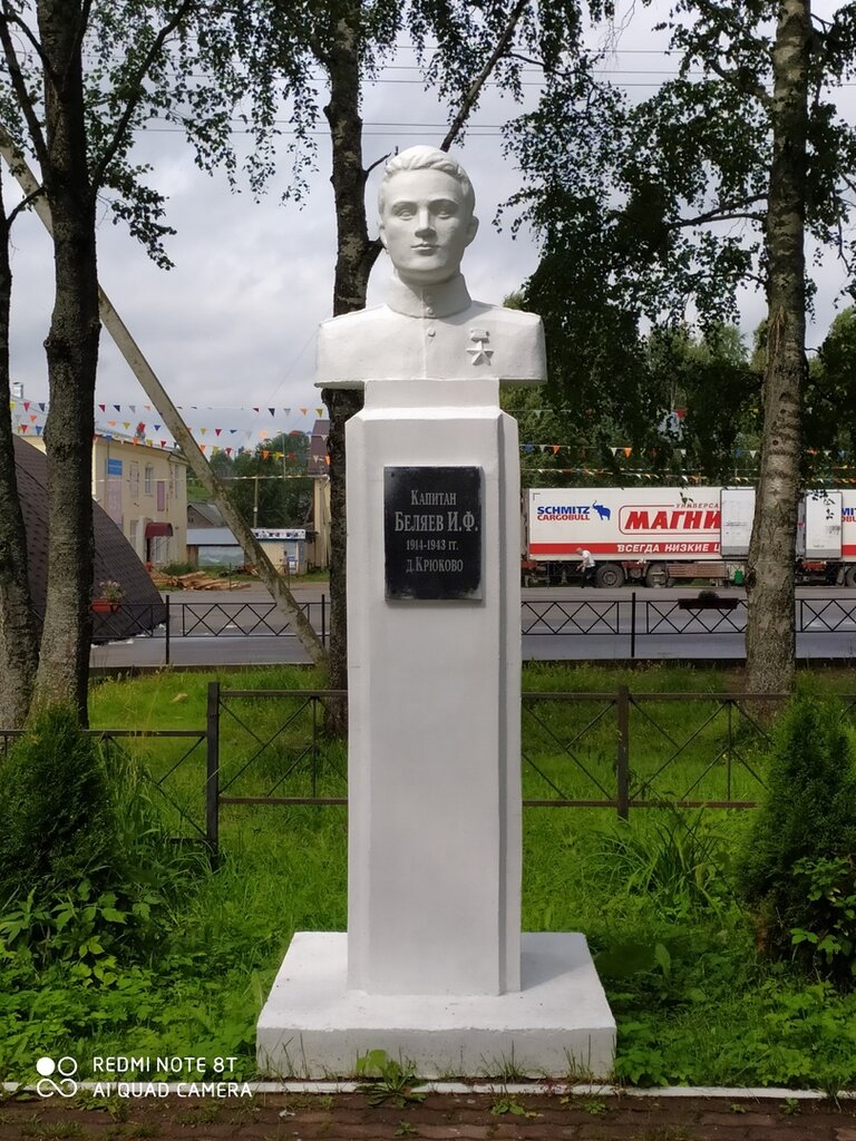 Anıt, heykel Бюст капитана И.Ф. Беляева, Vologodskaya oblastı, foto
