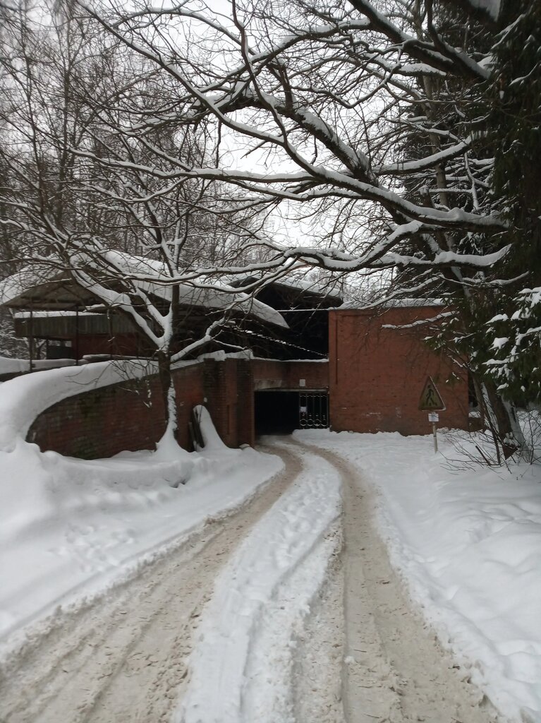 Garajlar Гск-7, Troitsk, foto