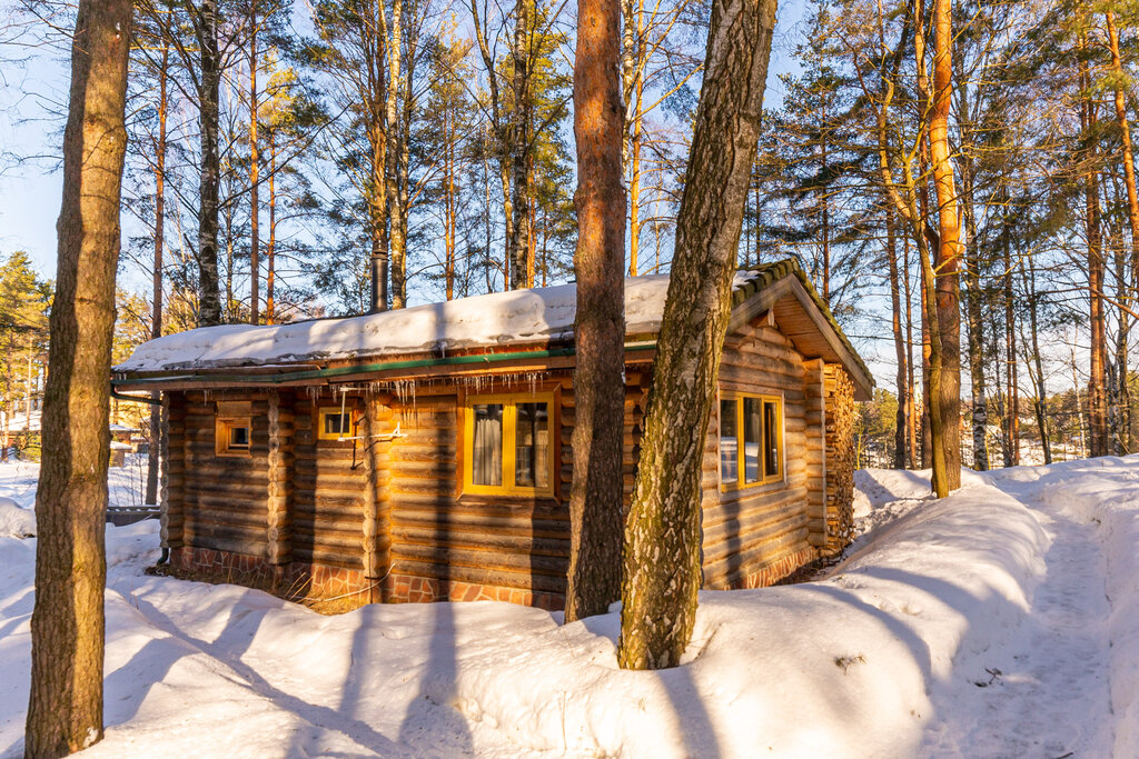 Hamamlar Баня в Бору, Saint‑Petersburg ve Leningradskaya oblastı, foto