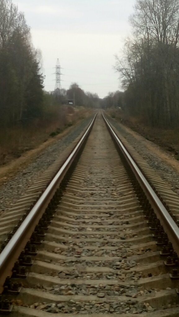 Yük istasyonu разъезд Пустово, Yaroslavskaya oblastı, foto