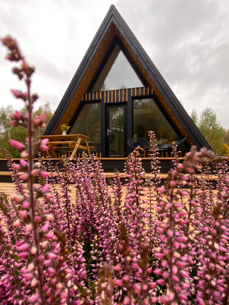 Konuk evi Domingo Dacha Aframe, Moskova ve Moskovskaya oblastı, foto