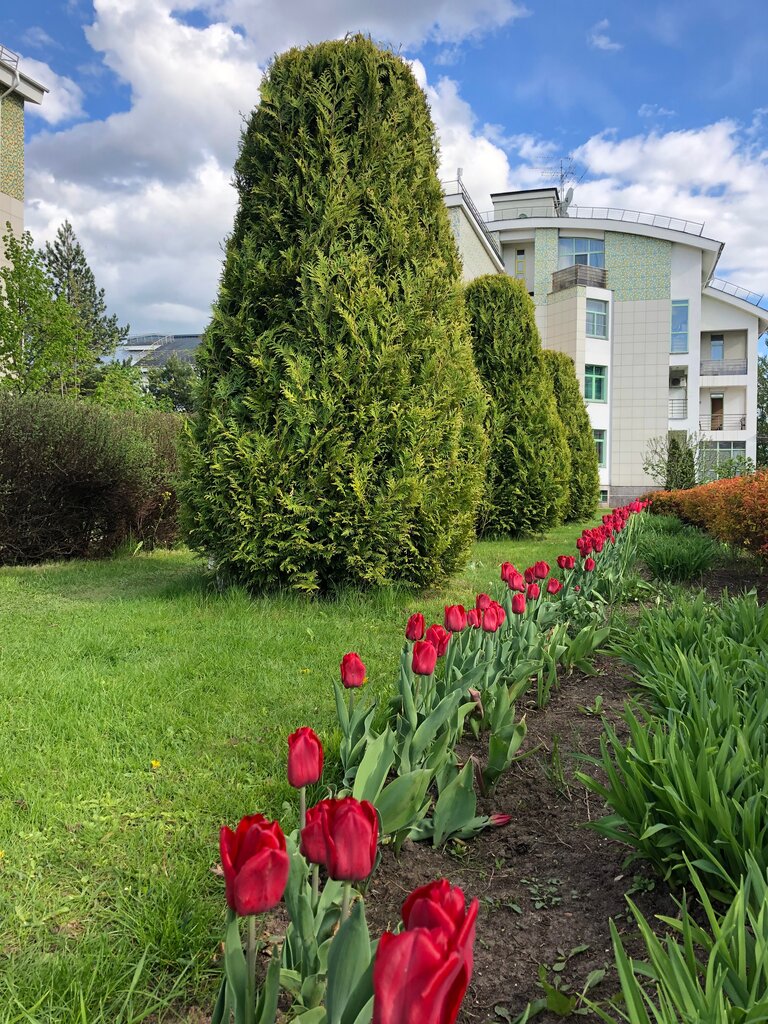 Peyzaj tasarımı Artland Studio, Moskova, foto