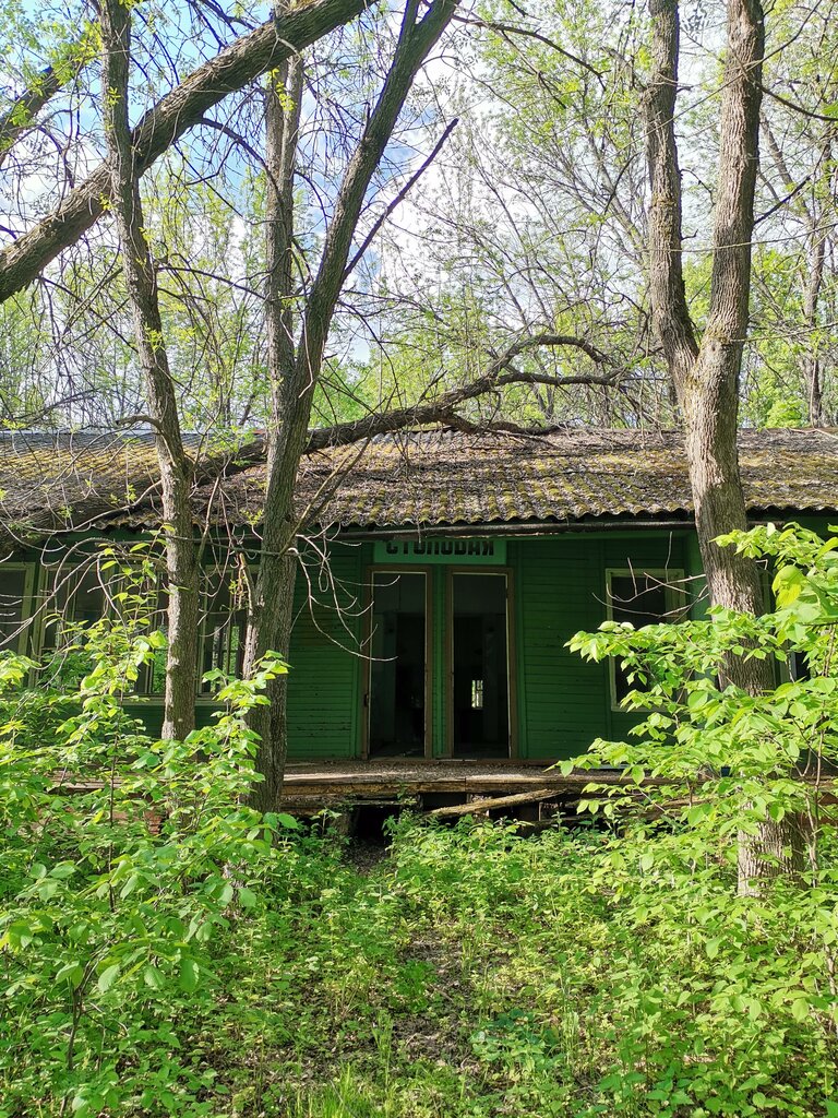 Yaz kampı Пионерский лагерь им. Комарова, Nijni Novgorod, foto