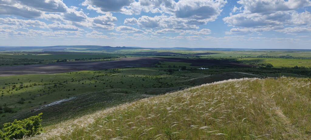 Dağ zirvesi Гора Калка, Saratovskaya oblastı, foto