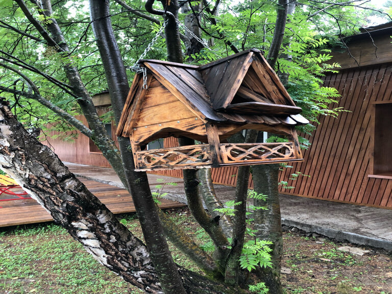 Hipermarket Аллея пикников, Sosnovoborsk, foto