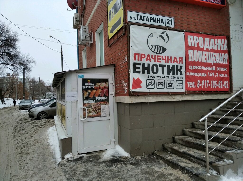 Çamaşırhaneler Raccoon, Samara, foto