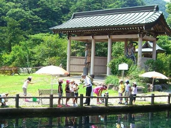 Otel Kinugawa Niouson Plaza, Nikko, foto