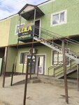 Leila (No:474, zhilmassiv Zhalyn, Atameken aýyly), market  Mangıstav eyaletinden