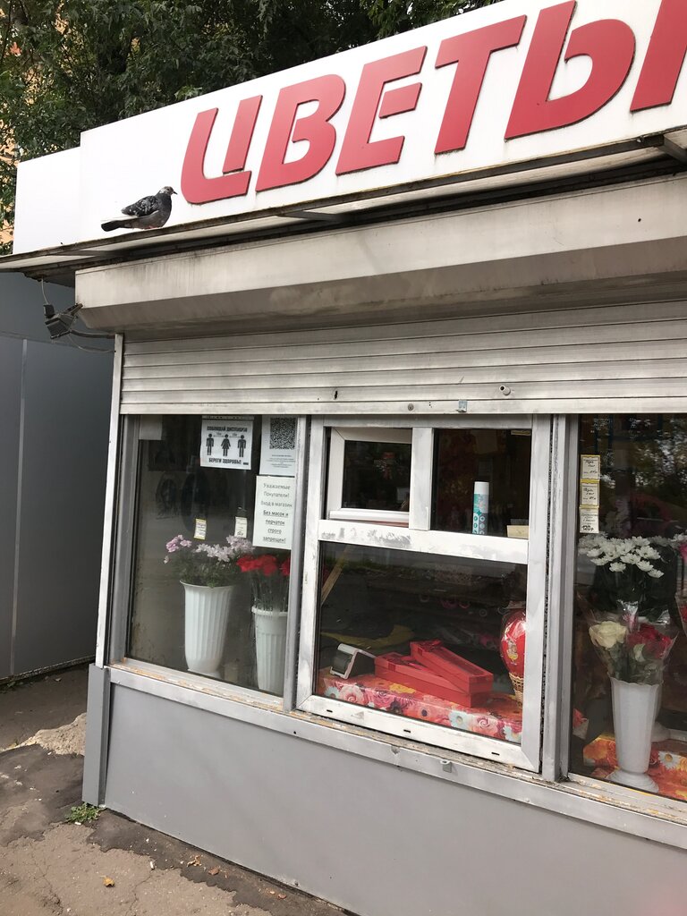 Çiçekçiler Magazin tsvetov, Podolsk, foto