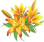 Tsvety-sadovod (Yubileynaya ulitsa No:2Б), çiçekçiler  Moskova'dan