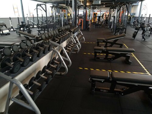 Fitness kulüpleri Basic-Fit Alkmaar Terborchlaan 24/7, Dünya, foto