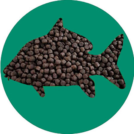 Balıkçılık ekipman firmaları Всёсразу, Minsk, foto