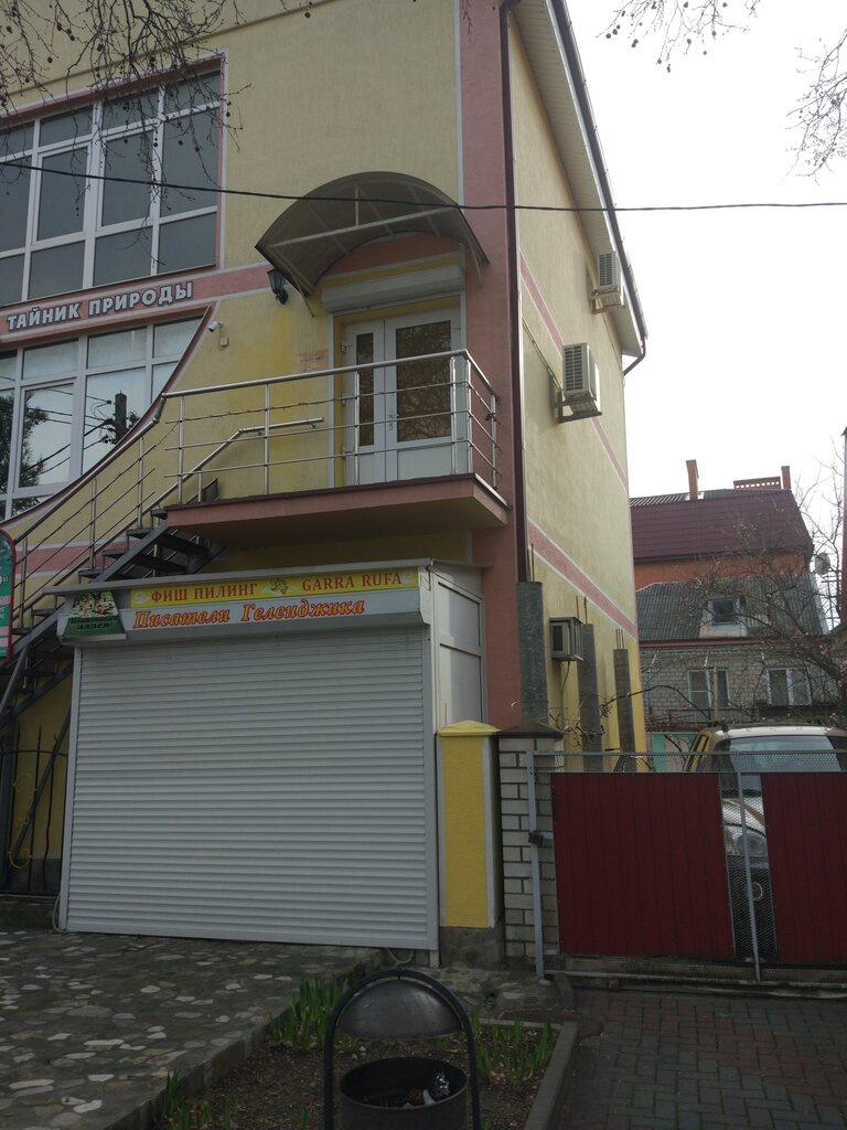 Hobi kulüpleri Писатели Геленджика, Gelencik, foto